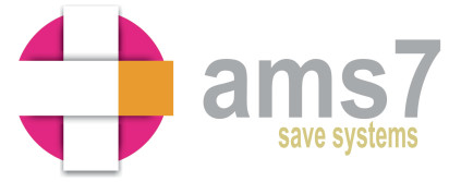 ams7 safe systems GmbH - Leistungen